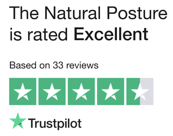 Magnetic Posture Corrector Align Your Spine with Ease - The Natural Posture